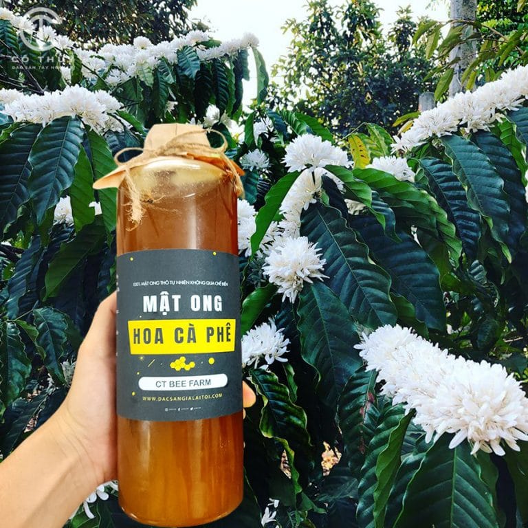MẬT ONG HOA CÀ PHÊ GIÁ BAO NHIÊU? Tại sao lại rẻ ? » CT BEE FARM - Mật ...